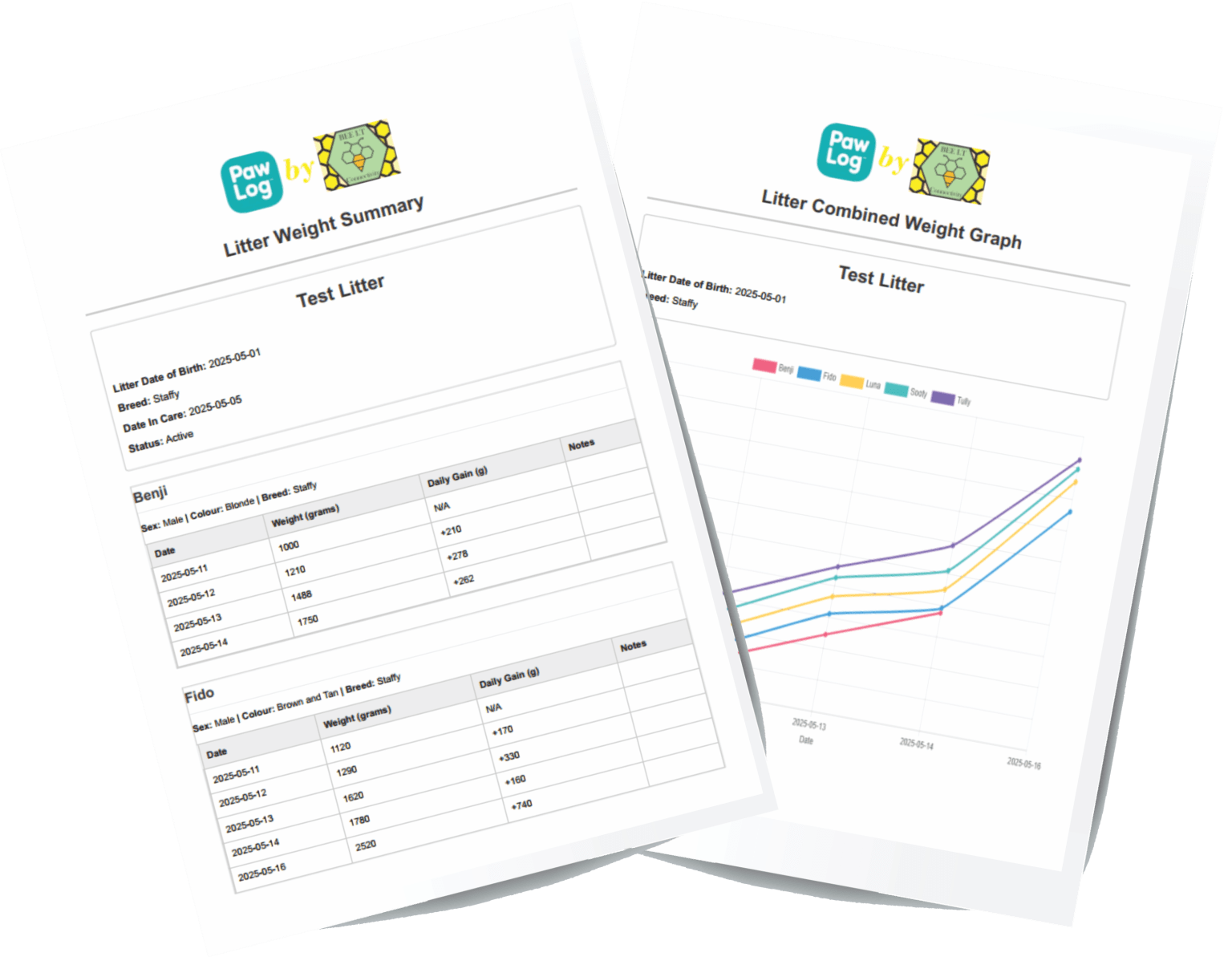 Paw Log – Bee IT & Connectivity